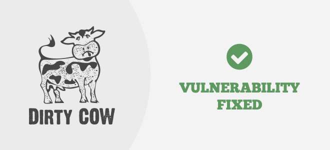 Dirty Cow Linux Kernel Vulnerability Fixed Siteground Blog