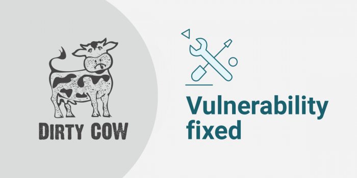 Dirty COW Linux Kernel Vulnerability Fixed - SiteGround Blog